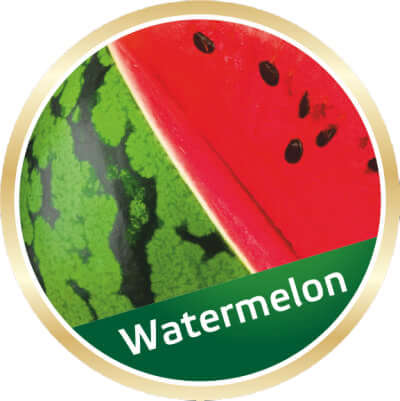 Shisha Fruits Watermelon Review - Hookah.org