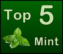 The Top 5 Mint Shisha Flavors - Hookah.org