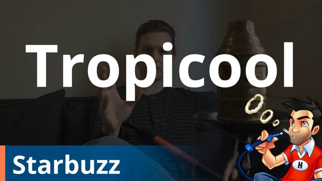 Starbuzz Shisha Flavors - Hookah.org